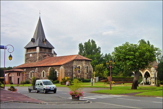 Kiv 77 / Author portfolio