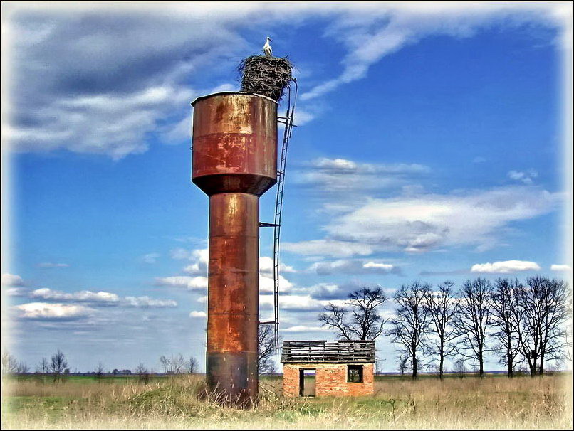 landscape with tower / photo